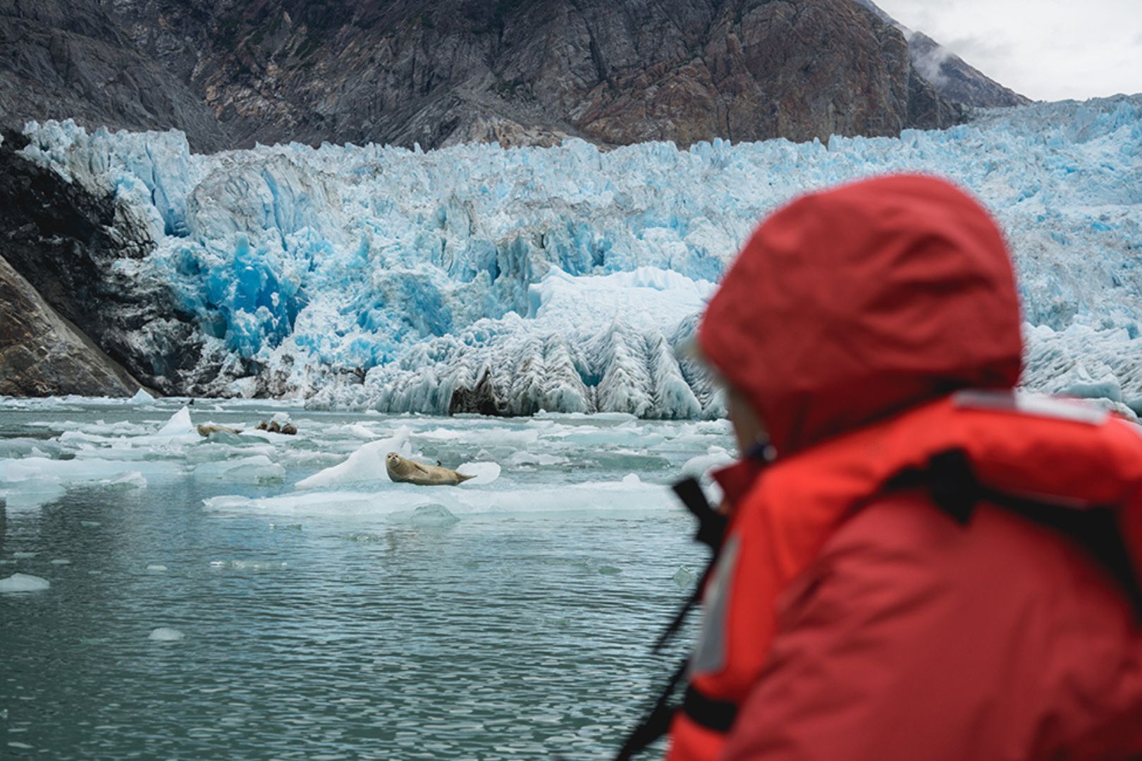 Alaska Expedition Cruises | Expert Planning