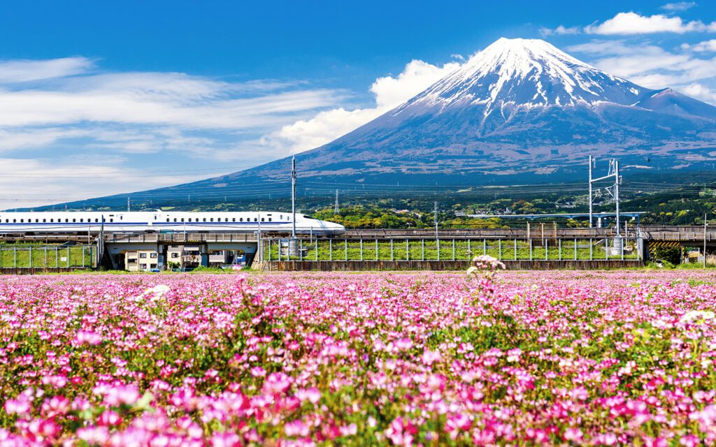 Beginner’s Guide to Japan Public Transportation | Travel Expert